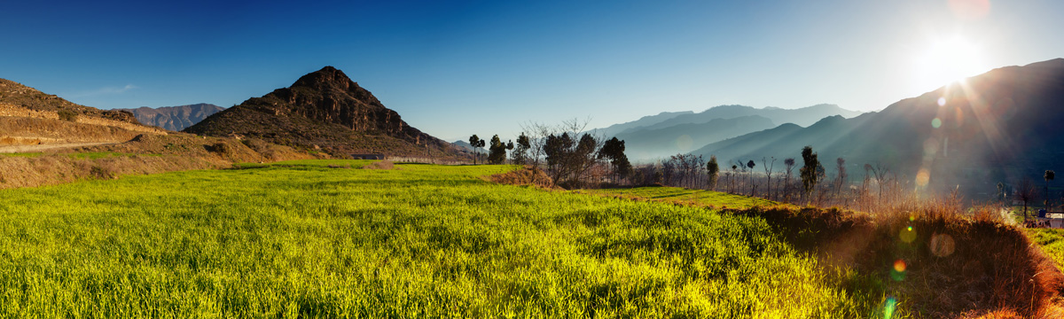 Vaccinations For Pakistan | Travel Vaccination Healthcare